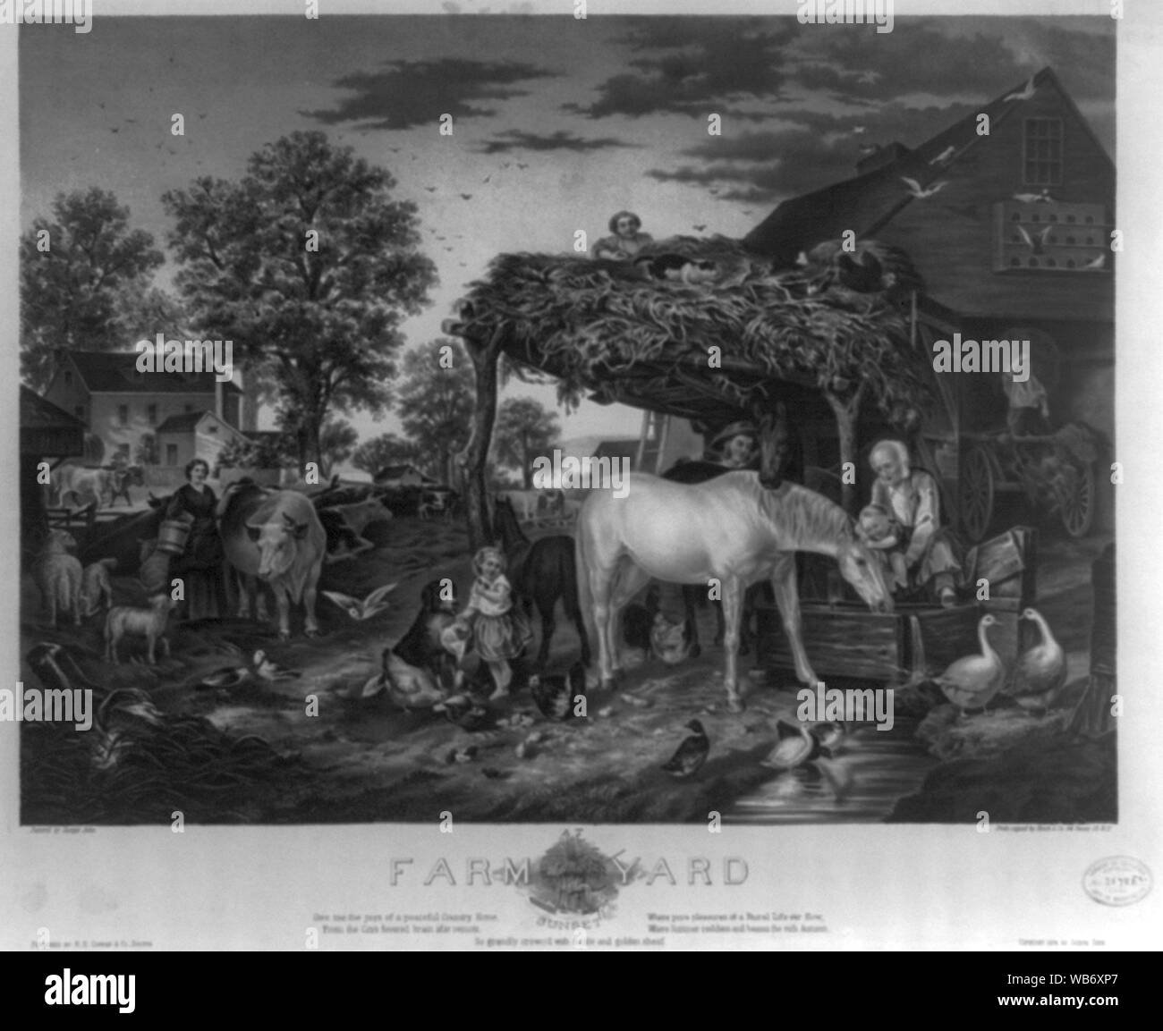 Farm yard at sunset Abstract: Print shows a farmyard scene with young ...