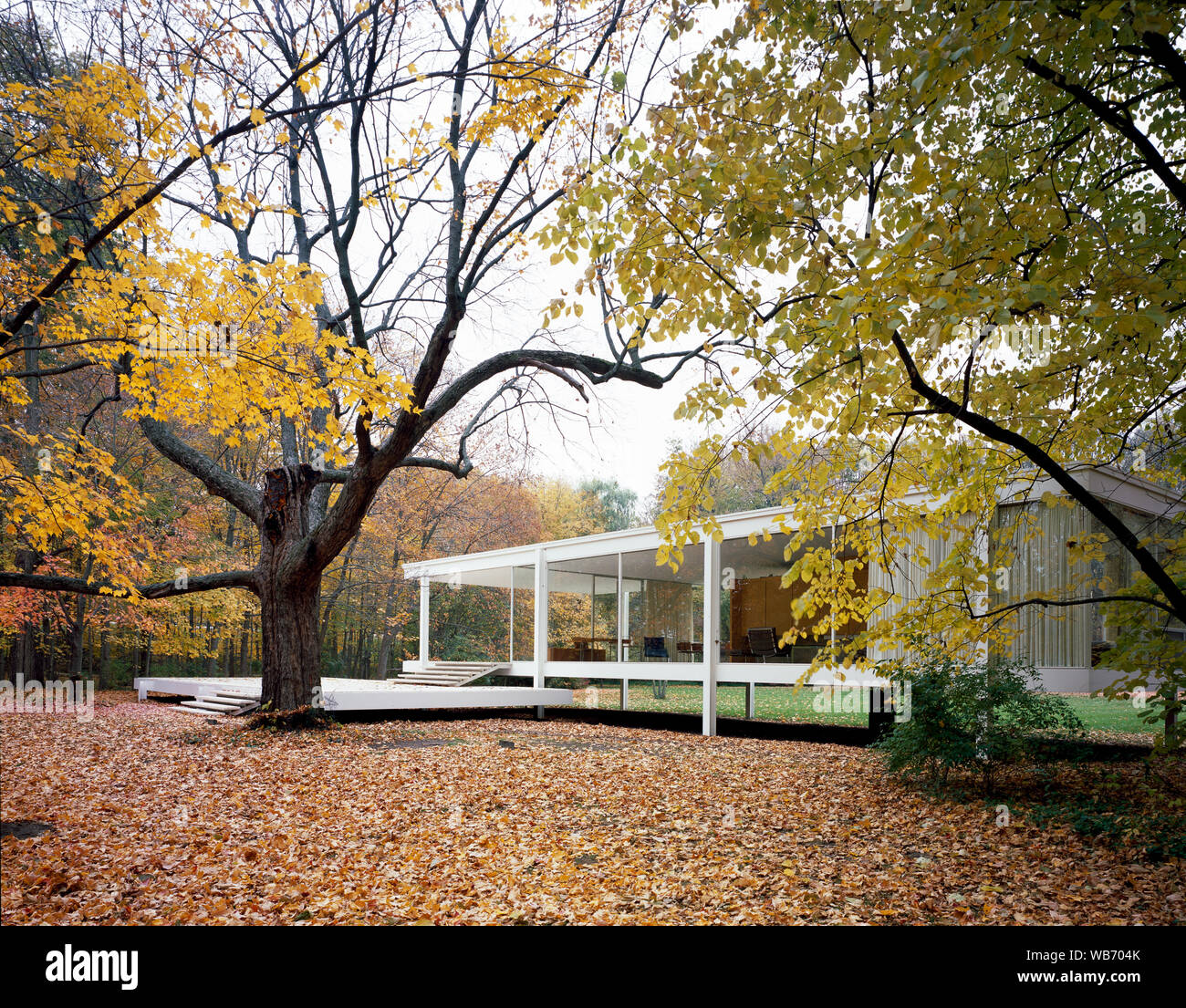 Farnsworth house hi-res stock photography and images - Alamy