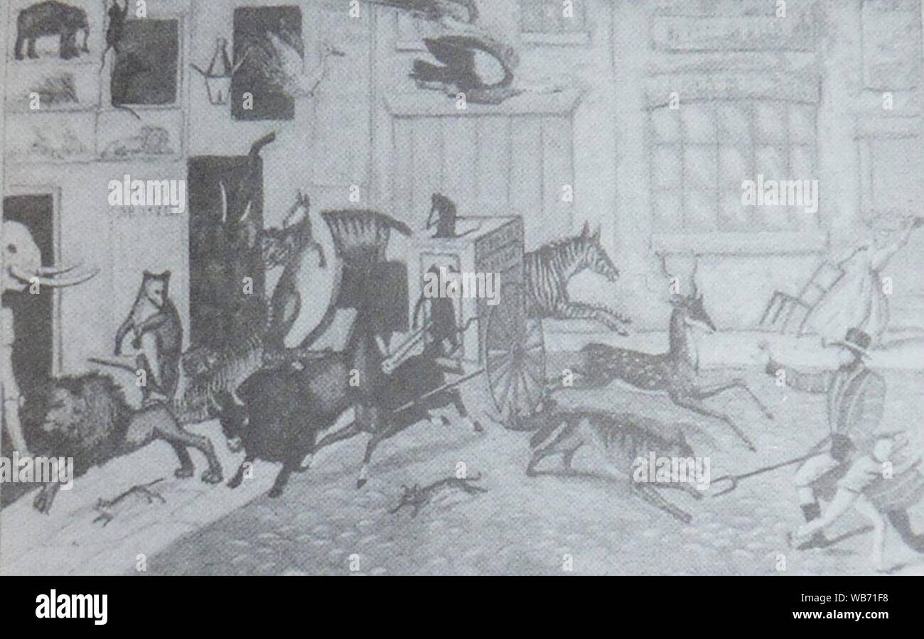 Entkommen hi-res stock photography and images - Alamy