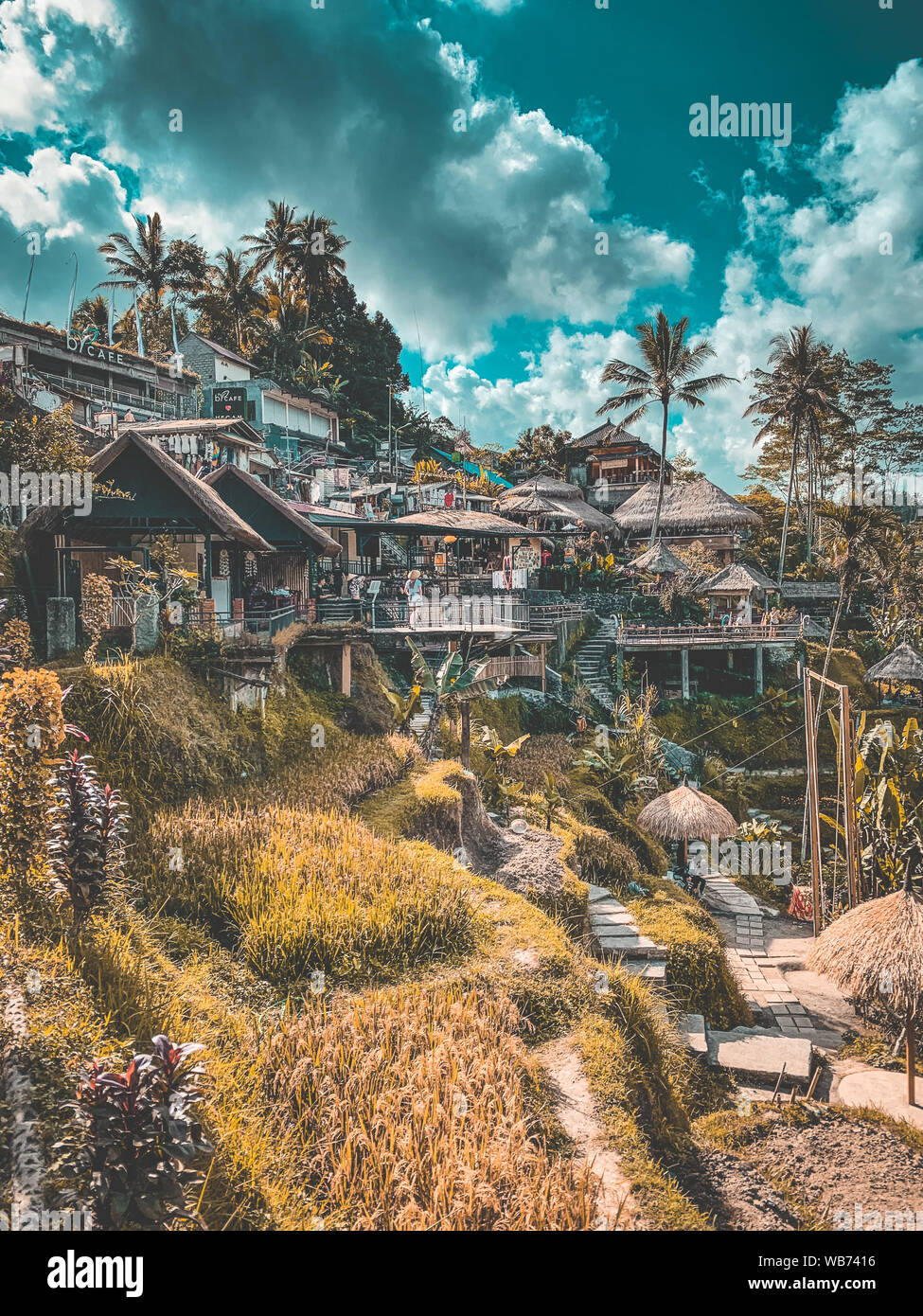 Tegallalang Rice Terraces from above, in Ubud, Bali, Indonesia Stock Photo - Alamy
