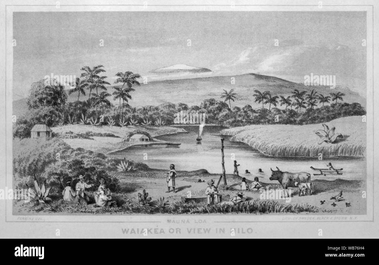Edward T. Perkins, Waiakea or View in Hilo, 1854 Stock Photo - Alamy