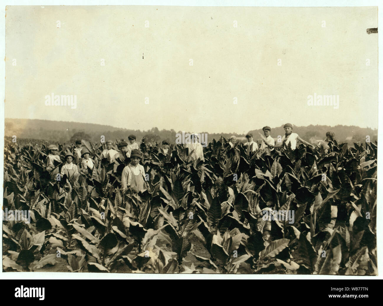 U s child field workers hi-res stock photography and images - Alamy