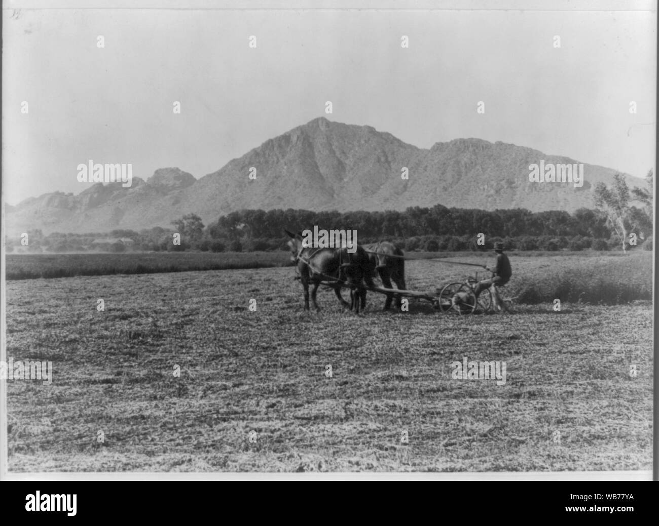 Alfalfa fields Black and White Stock Photos & Images - Alamy