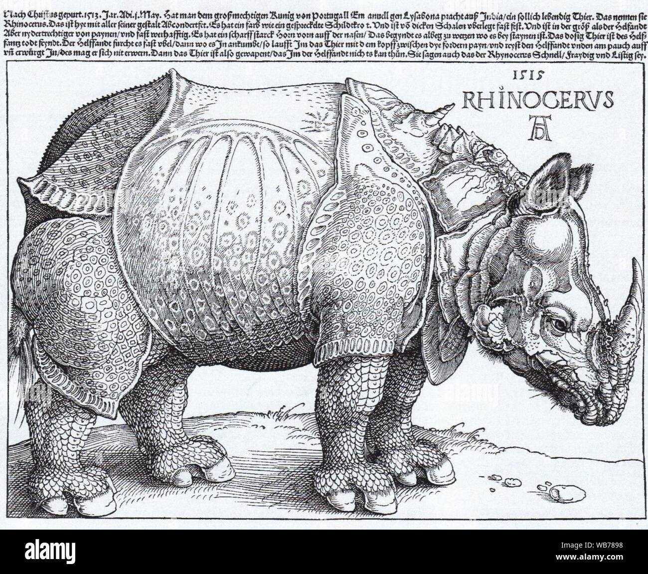 Woodcut by albrecht durer hi-res stock photography and images - Alamy