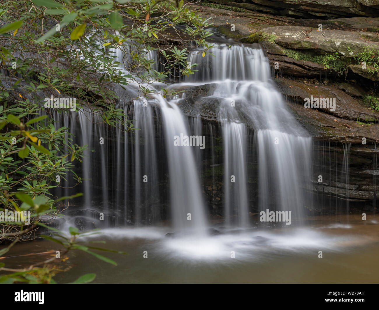 Carrick Creek Falls along Carrick Creek Trail in Table Rock State Park ...