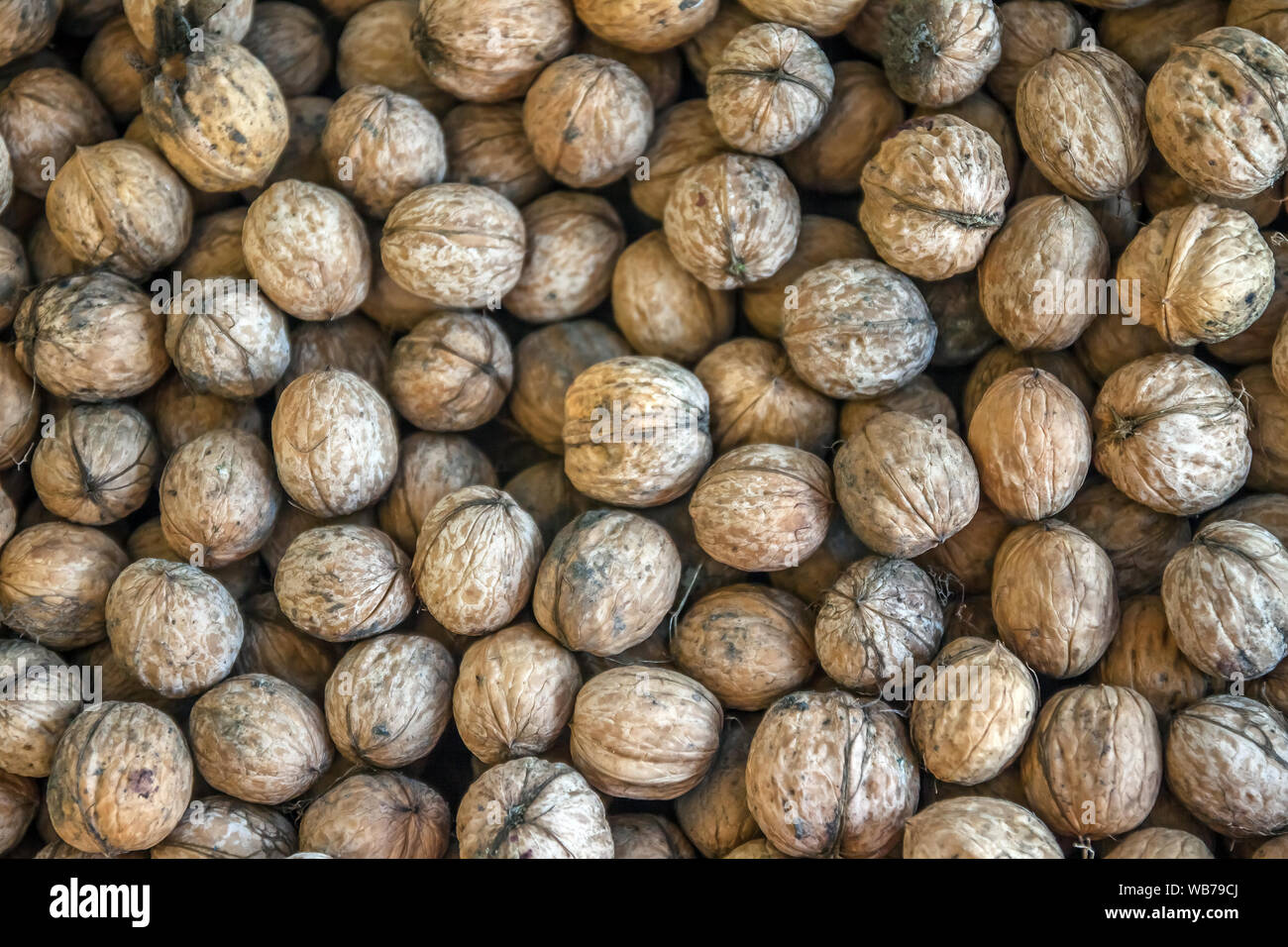 Natural walnut background pattern texture Abstract walnuts heap pattern ...