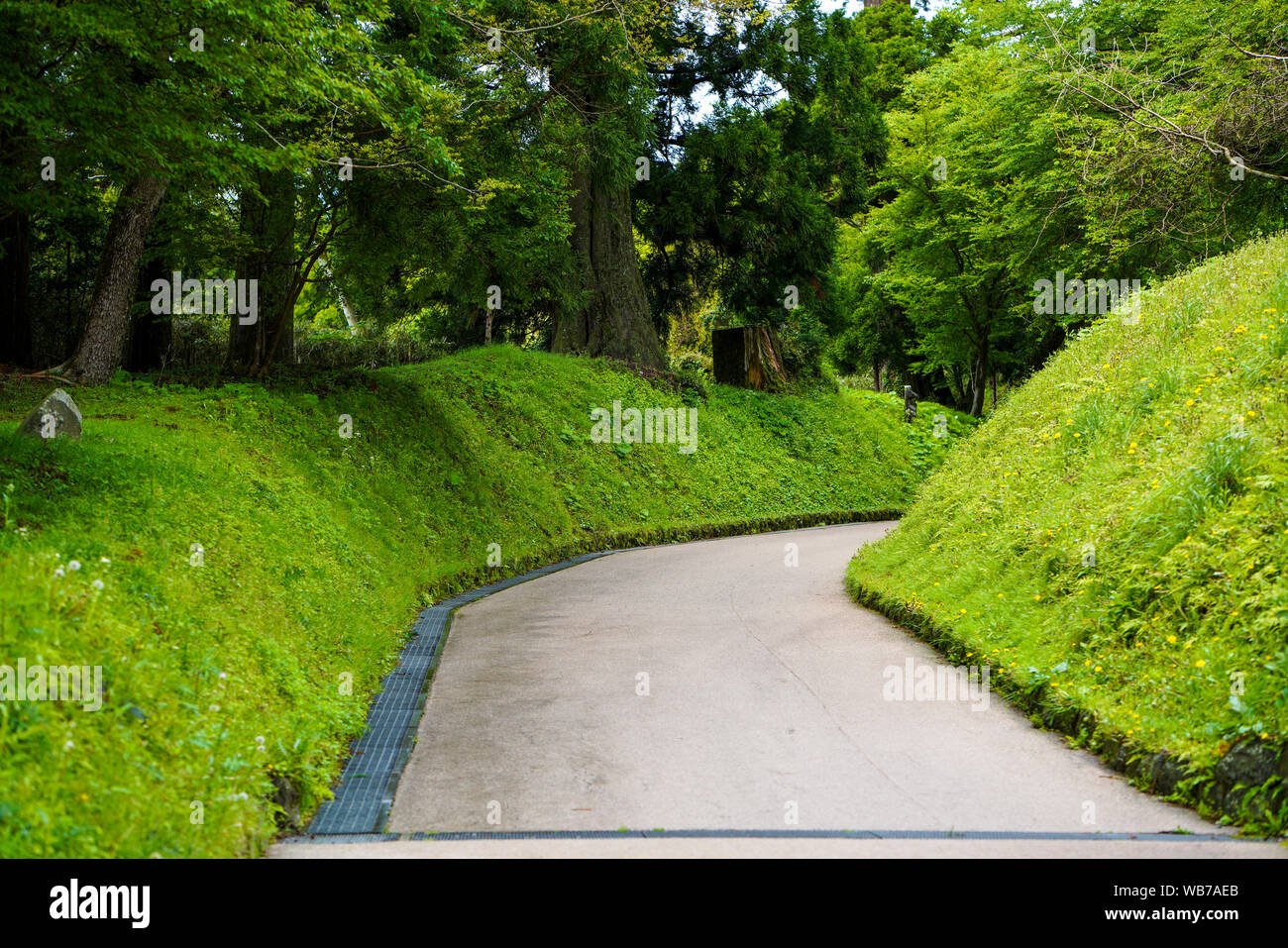 The beautiful path between the trees, path leads to the Onshi Hakone ...