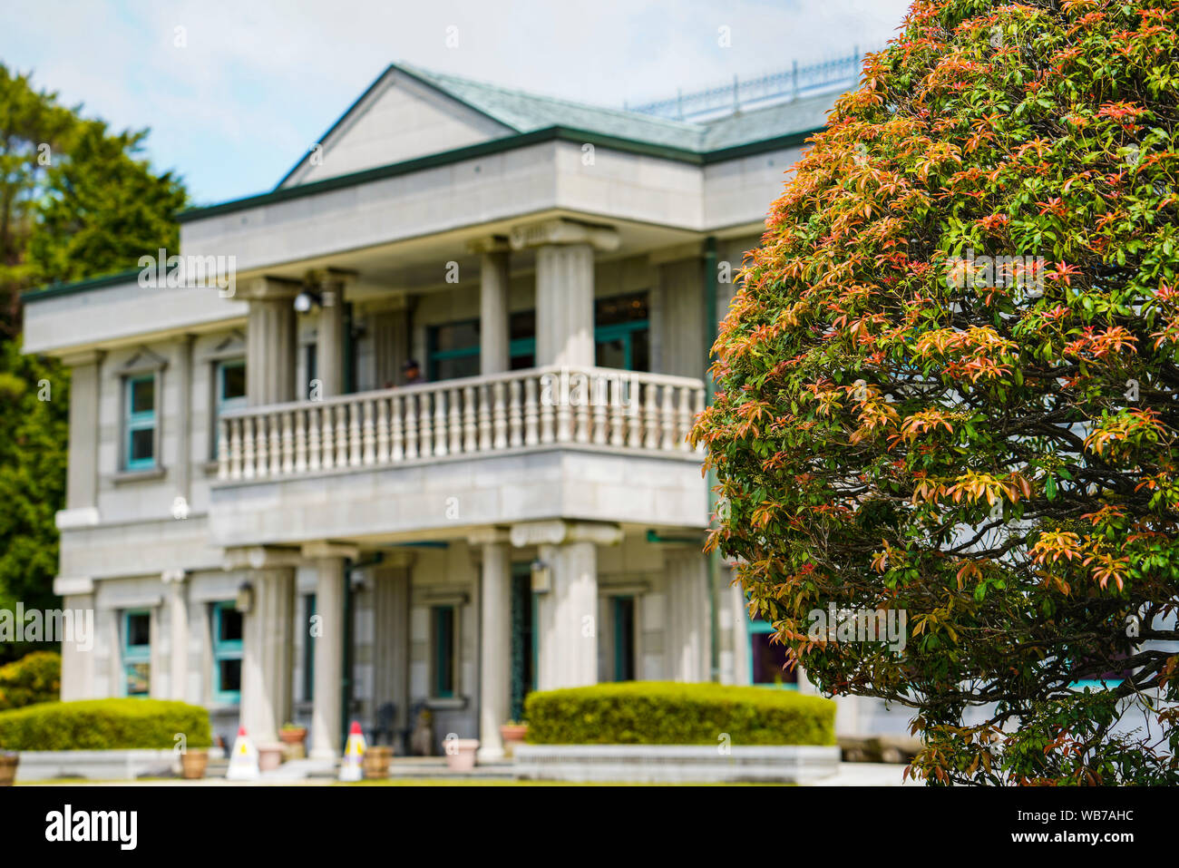 Hakone, Japan, 10th, May, 2018. The maple tree in front of the Lakeside ...
