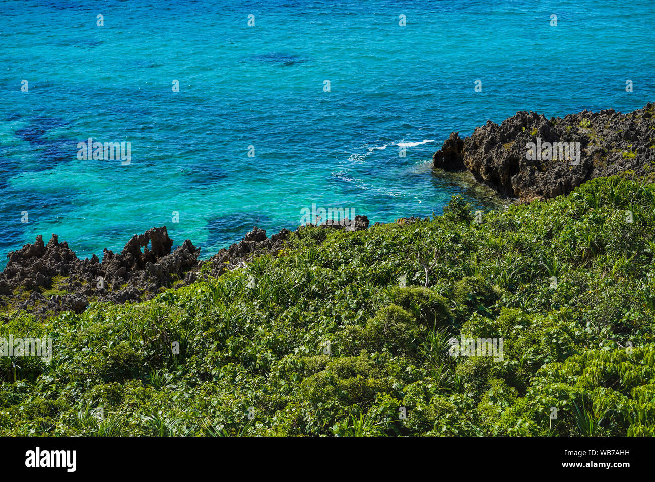 View of the blue sea, rock and trees from the Ryugujo Observatory. The ...