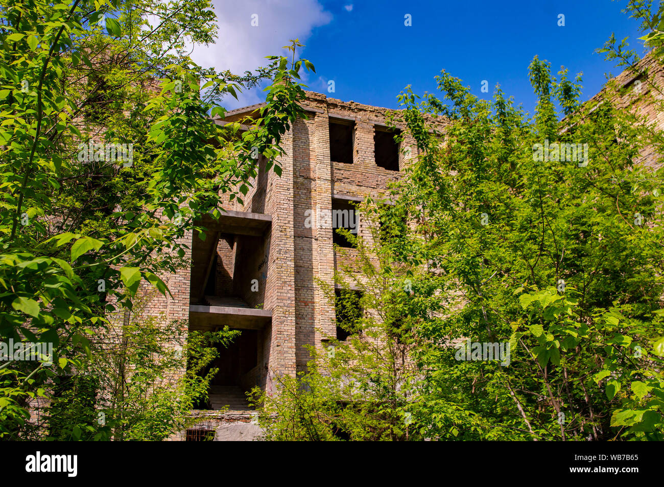 Abandoned, unfinished building overgrown with trees under a blue sky ...
