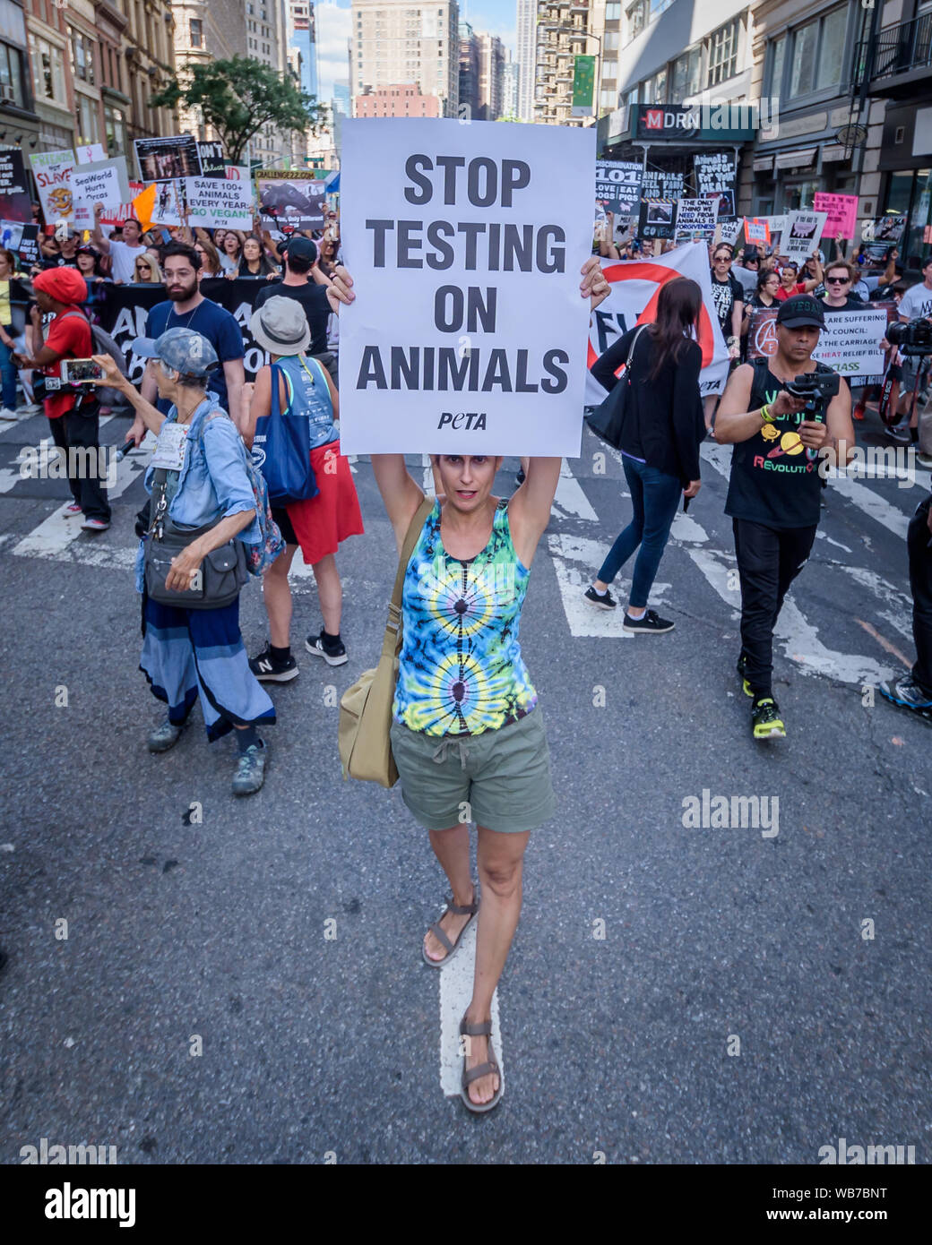 August 24, 2019, New York, USA: Hundreds of Animal Liberation activists ...