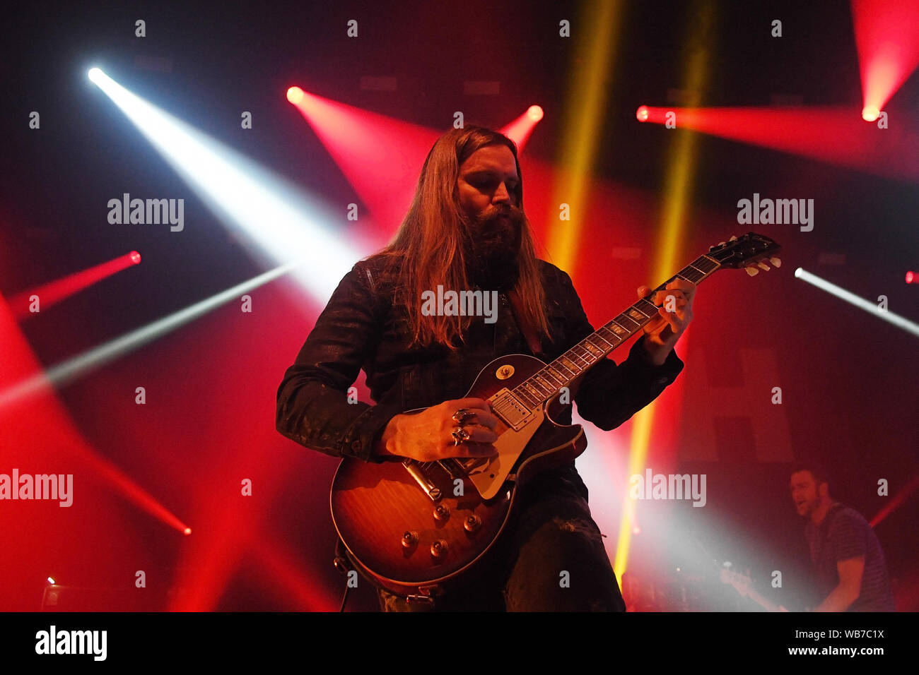 Rock bush hi-res stock photography and images - Alamy