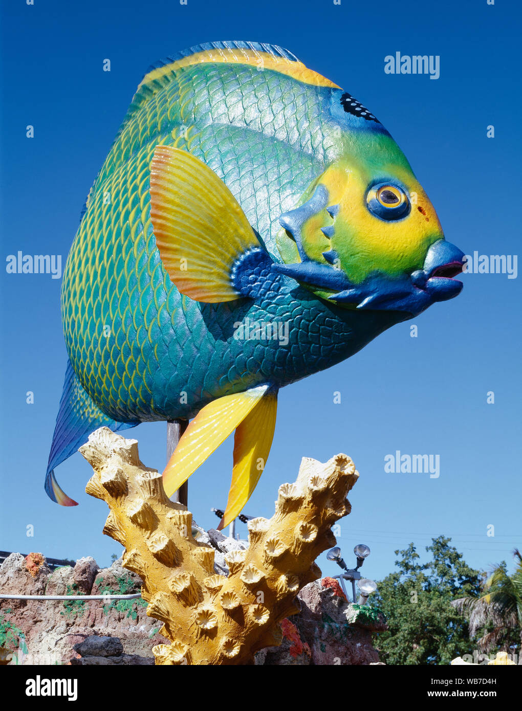 Fish carving, Florida Keys Stock Photo - Alamy