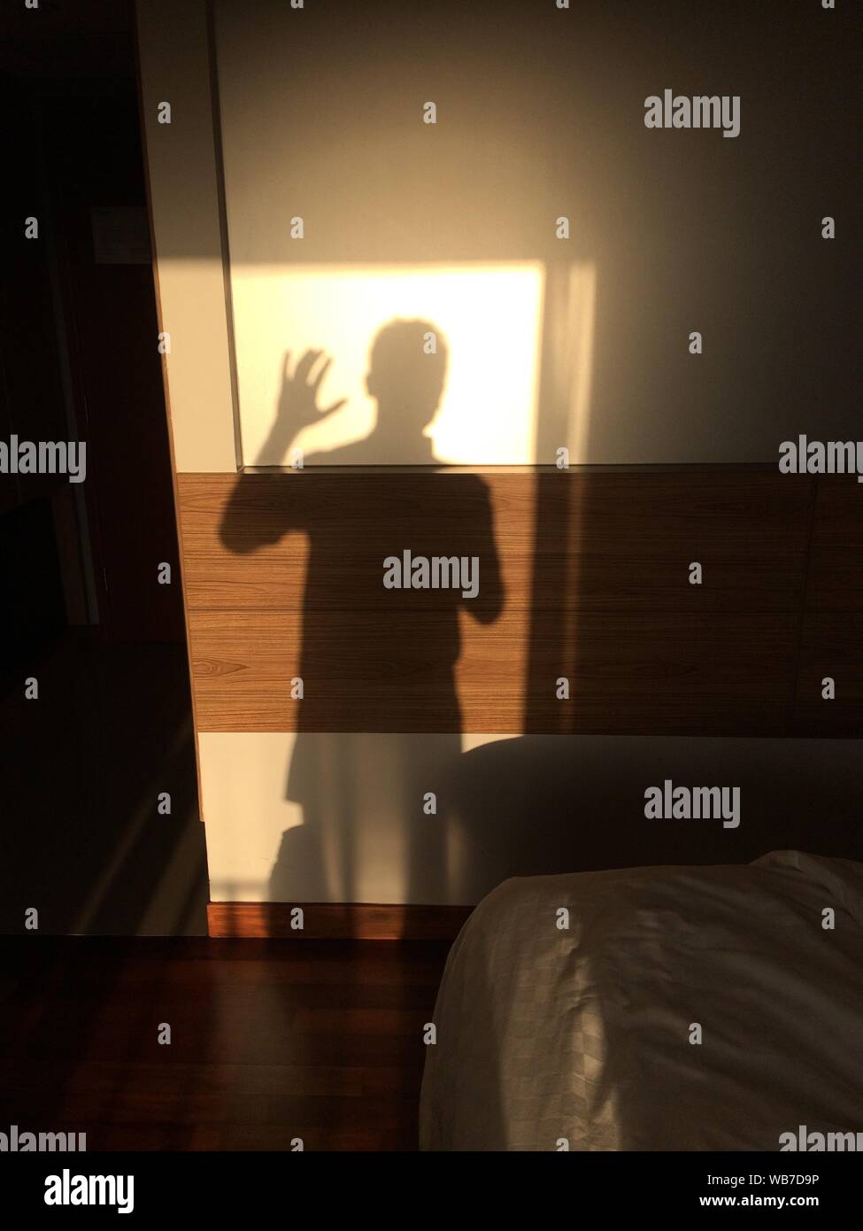 Vertical shot of a male shadow waving on a wall Stock Photo - Alamy