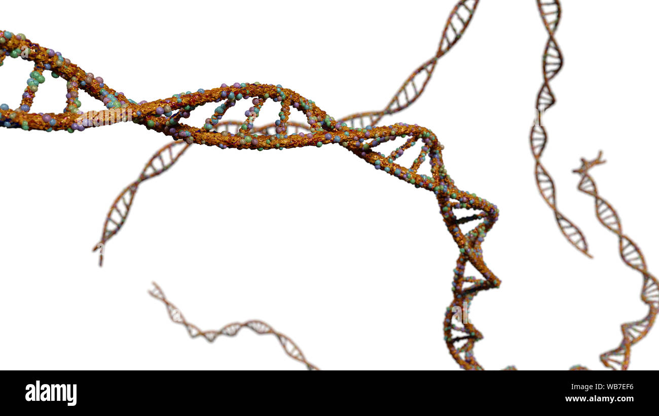 DNA molecule, double helix isolated on white background (3d science rendering Stock Photo - Alamy