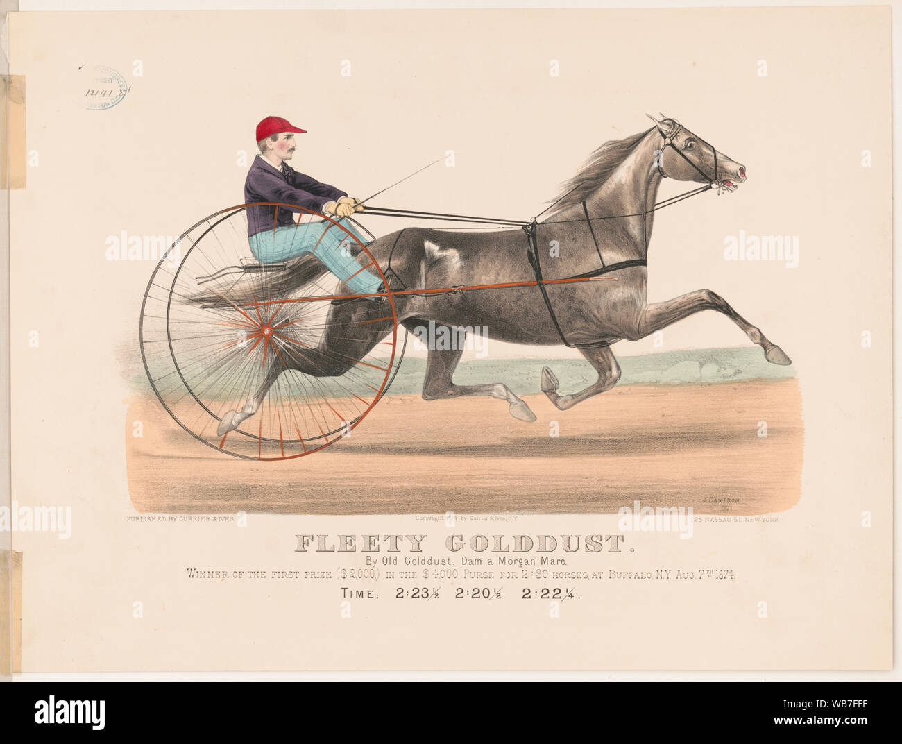 Fleety golddust: By old golddust, dam a Morgan mare Stock Photo - Alamy