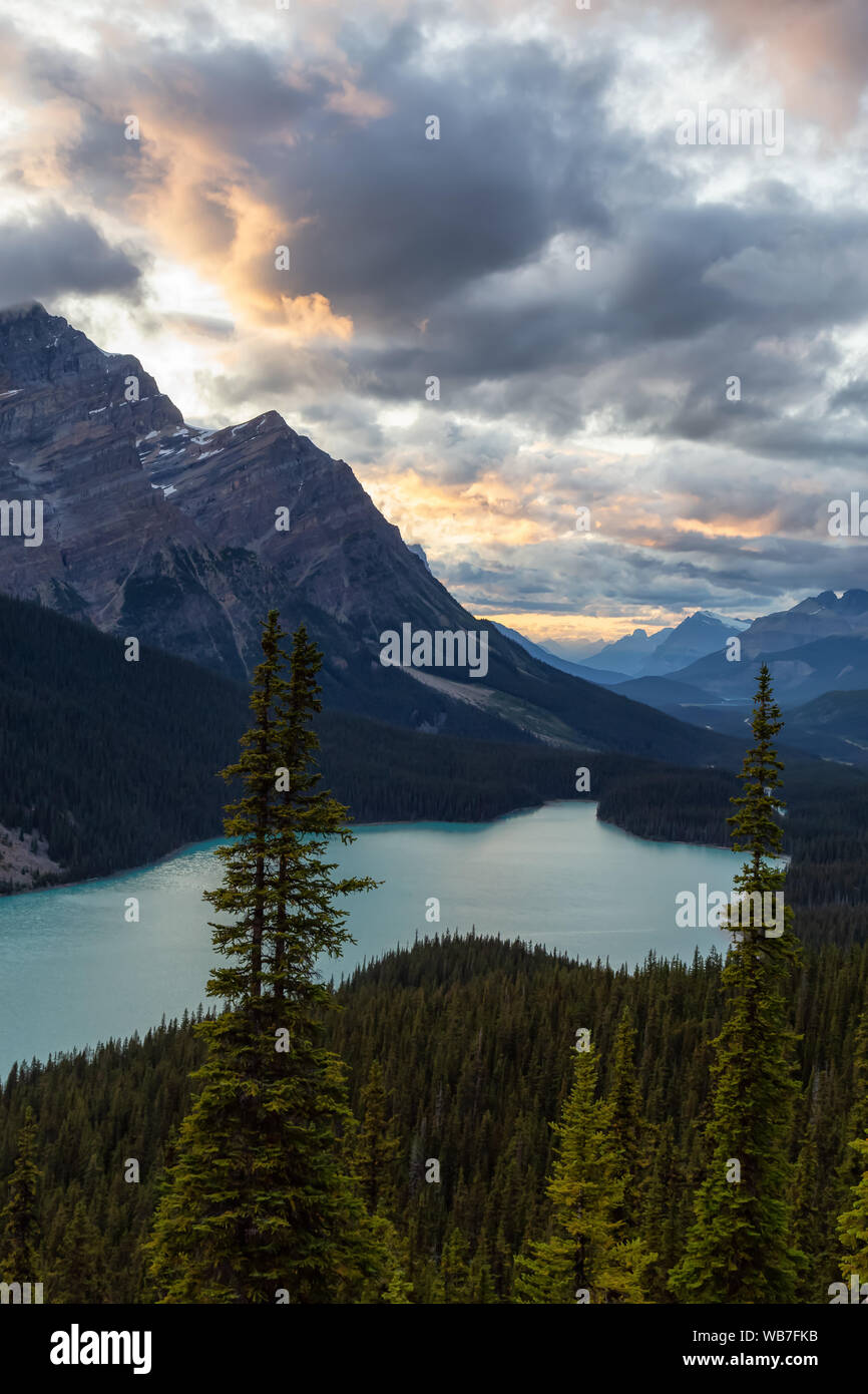 Canadian Rockies and Peyto Lake viewed from the top of a mountain ...