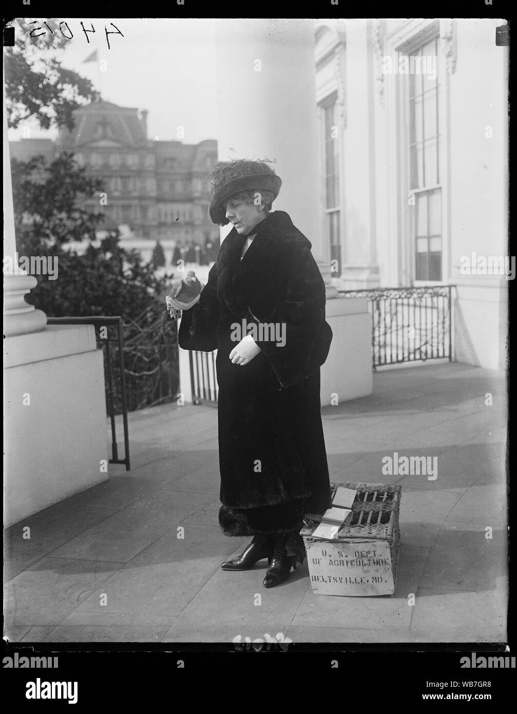 Florence Harding, White House, Washington, D.C. Abstract/medium: 1 ...