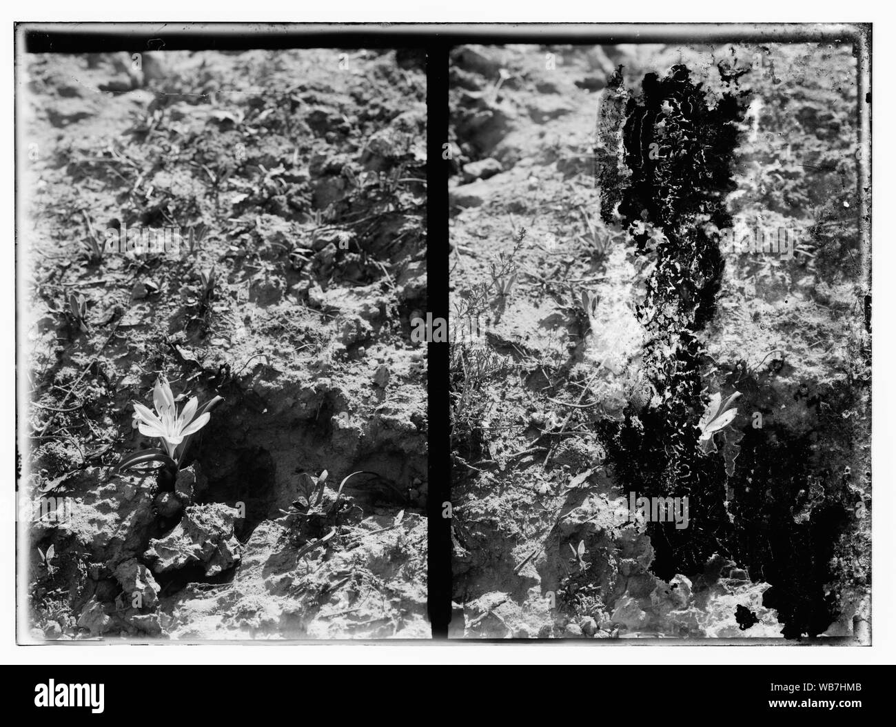 G eric and edith matson photograph collection hi-res stock photography ...