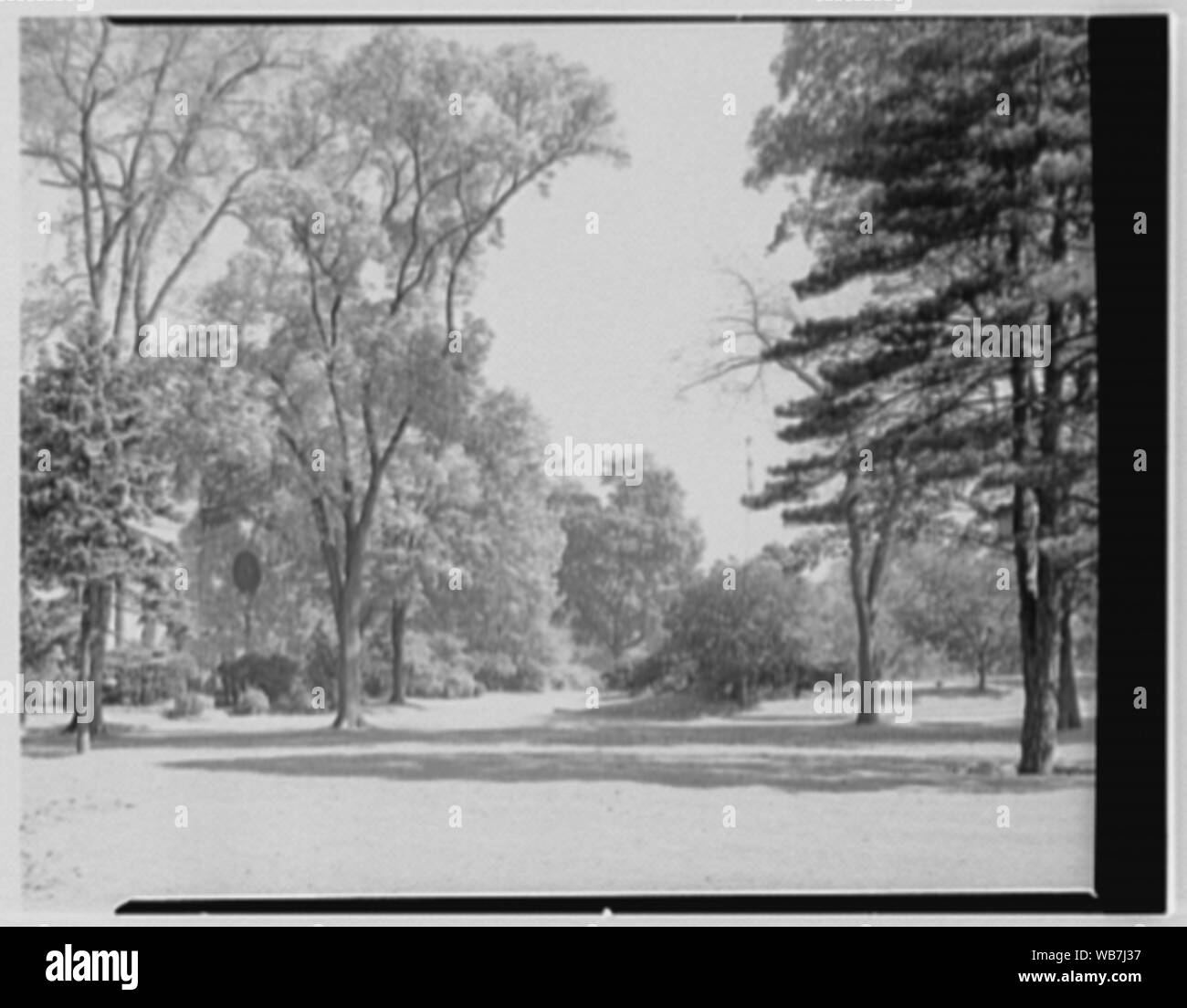 Flushing Cemetery, Flushing, Long Island, New York. Abstract/medium ...