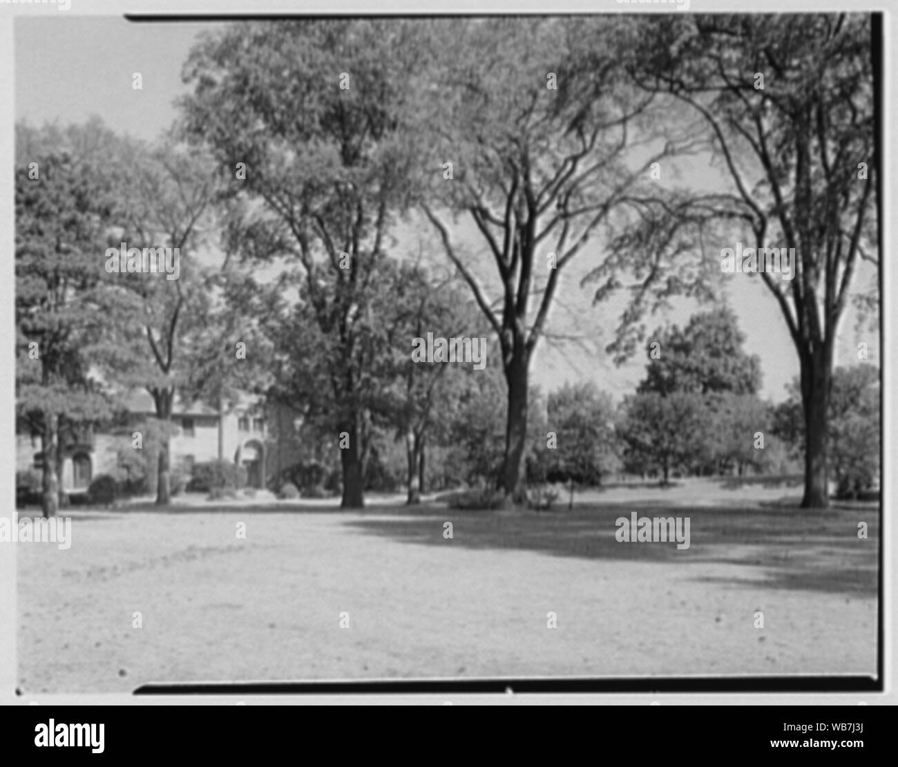 Flushing Cemetery, Flushing, Long Island, New York. Abstract/medium ...