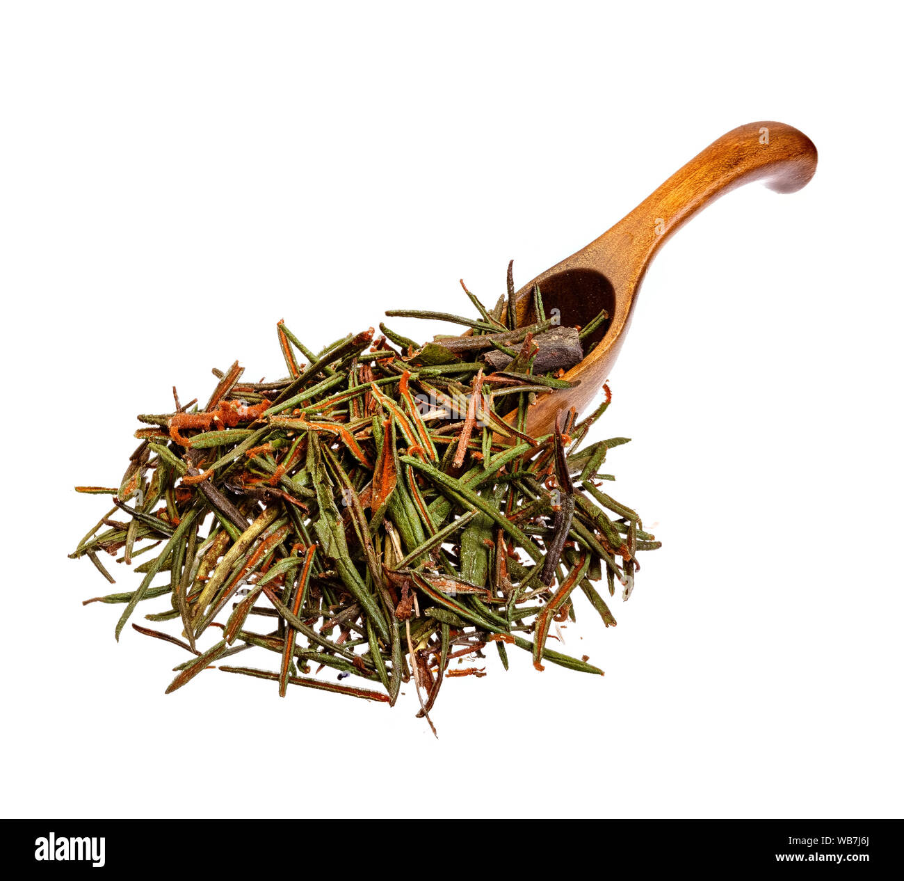 Bog labrador tea hi-res stock photography and images - Alamy