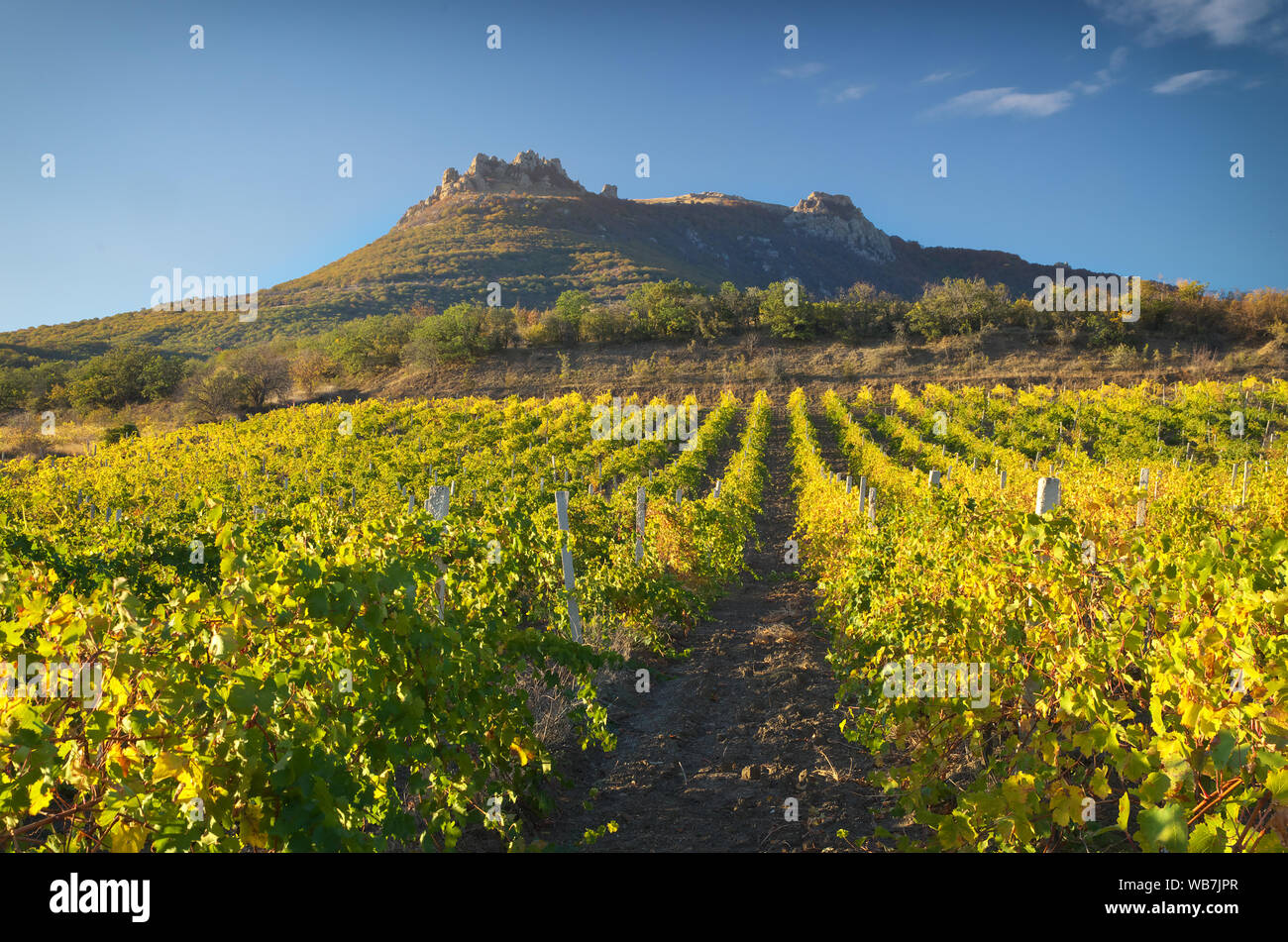 Narure hi-res stock photography and images - Alamy