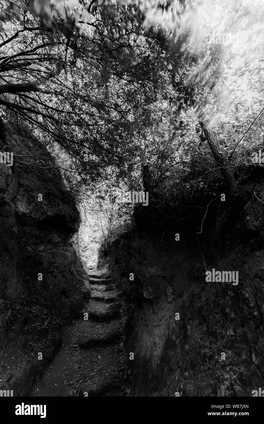 Narrow mountain path Black and White Stock Photos & Images - Alamy