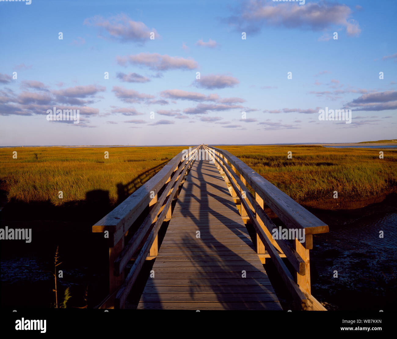 Footbridge into a vast marsh toward Barnstable Harbor on Cape Cod ...