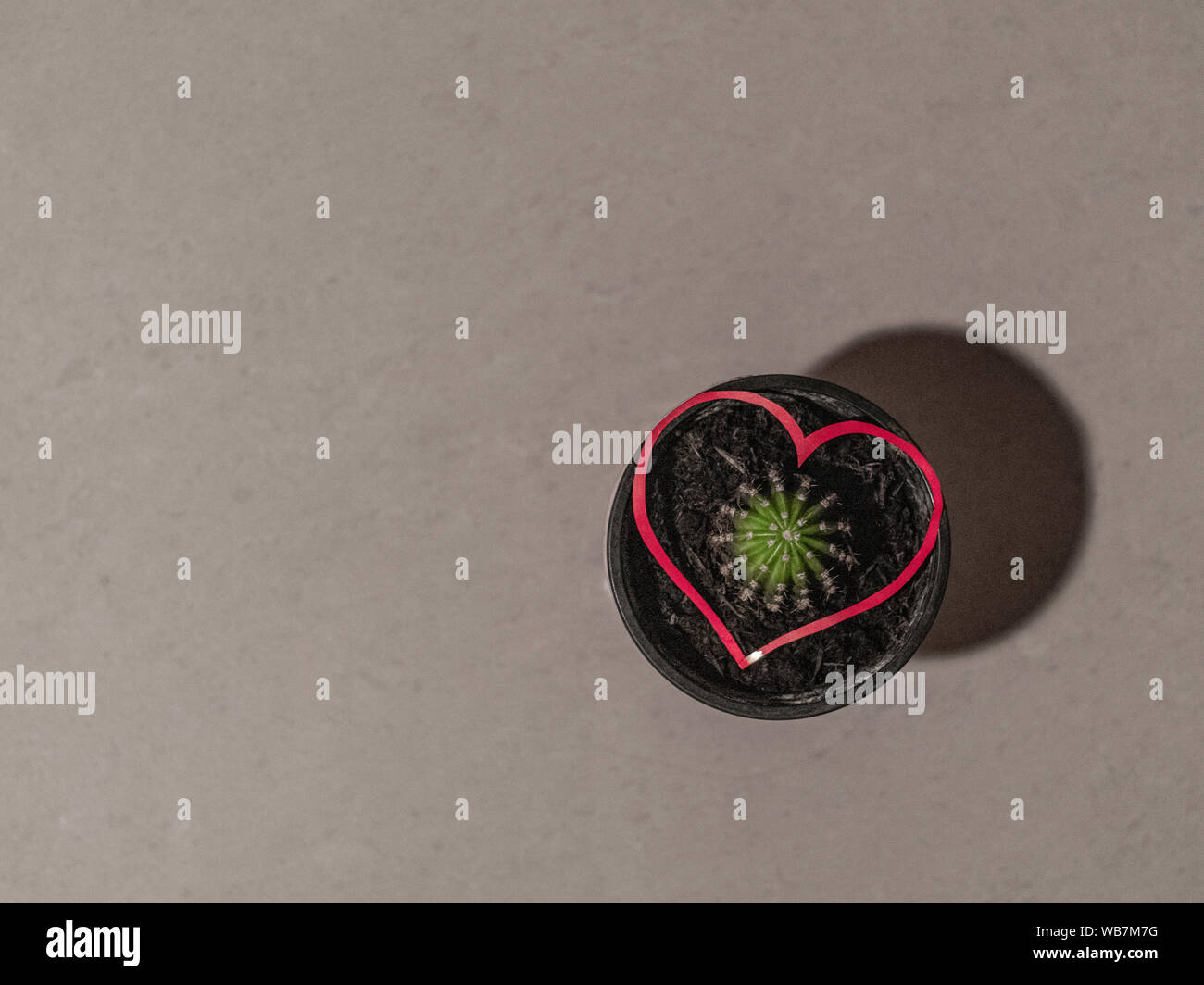 Concept of spiky love with broken heart and attempt to fix it Stock ...