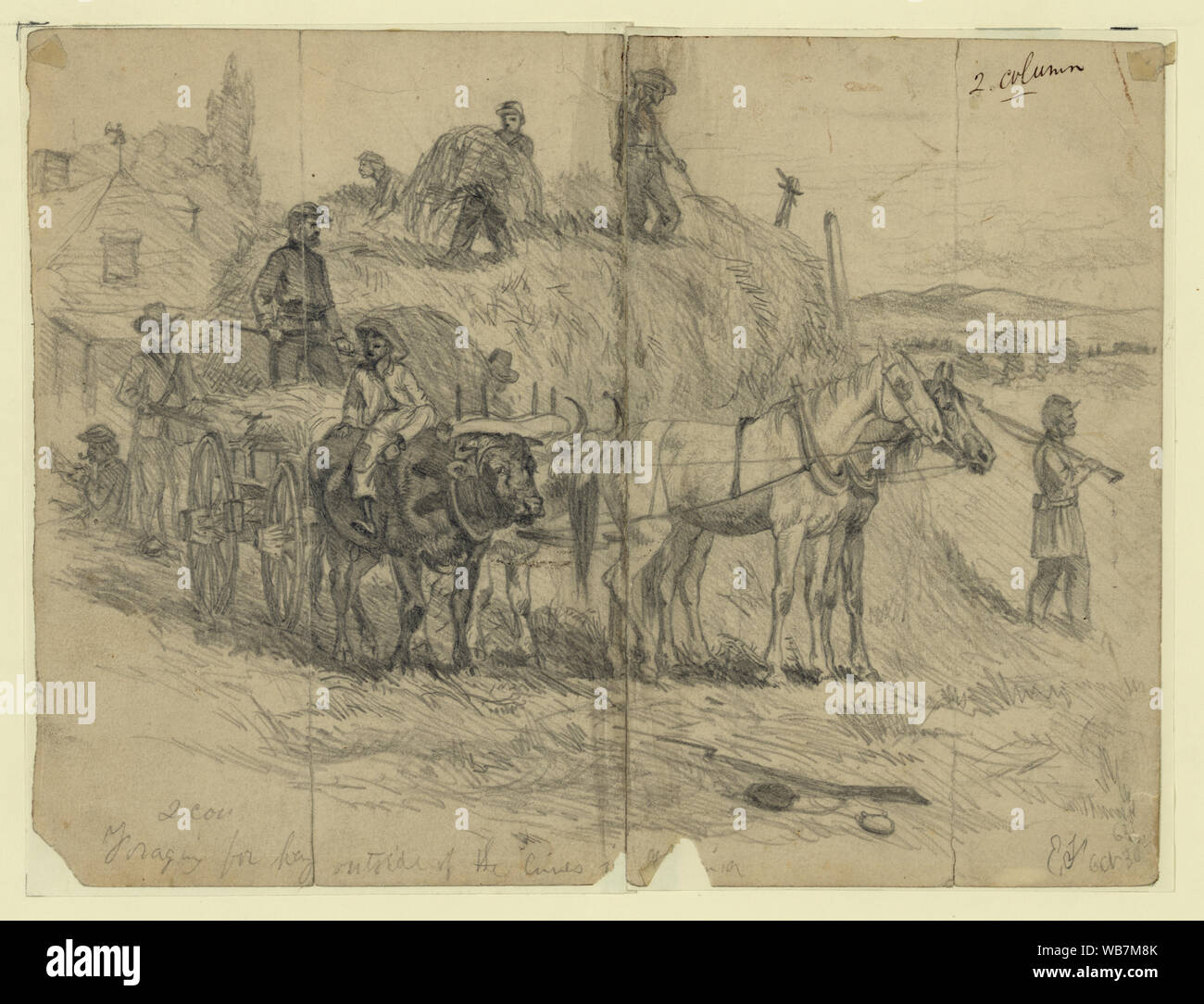 Foraging for hay outside of the lines in Virginia Abstract/medium: 1 ...