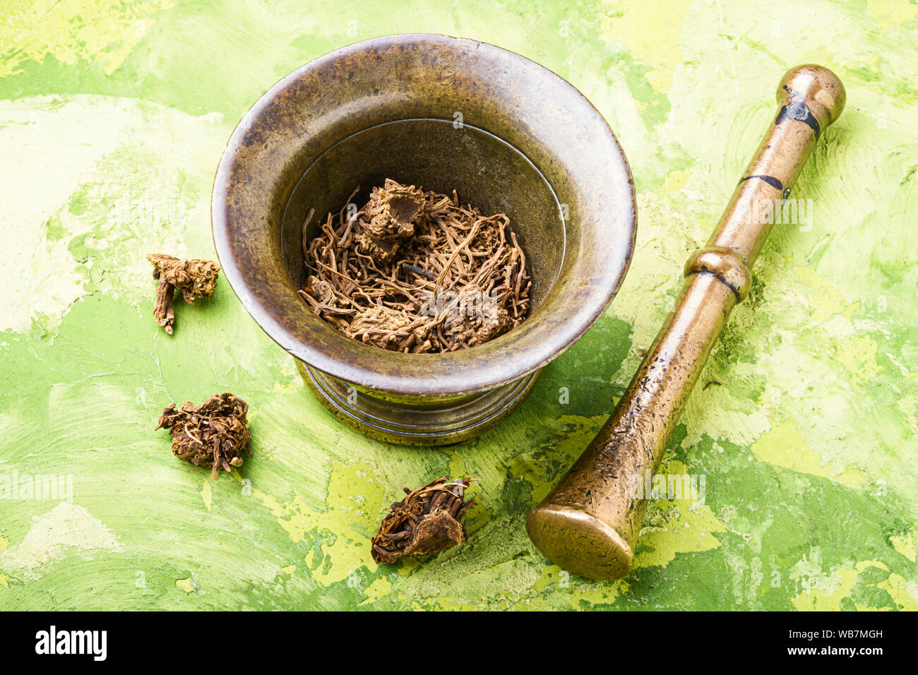 Dried Valerian roots in old bronze mortar.Valeriana officinalis Stock ...