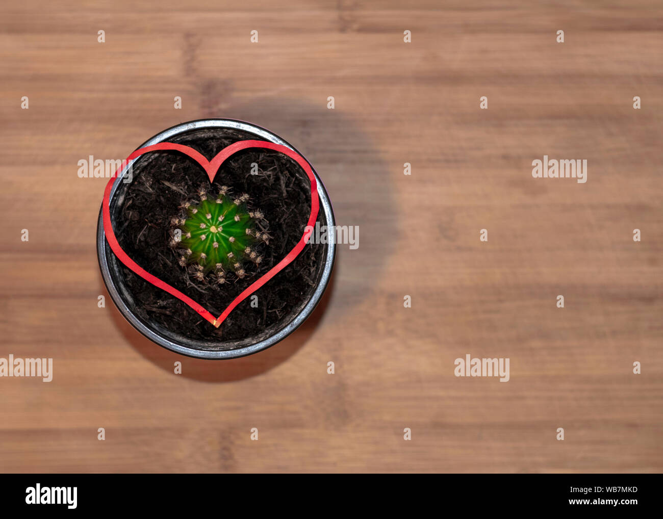 Concept of spiky love with broken heart and attempt to fix it Stock ...