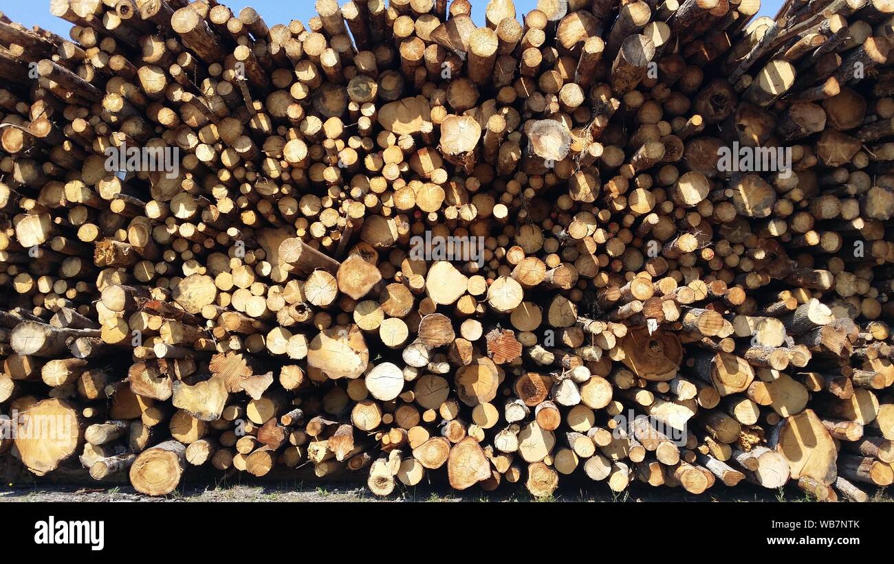 scrap wood and abandoned logs Stock Photo - Alamy