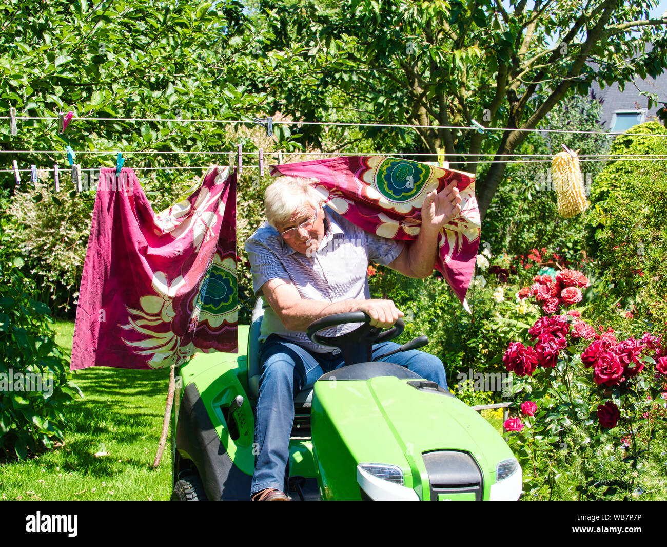 Senior man 75 old years driving a tractor lawn mower in garden with ...