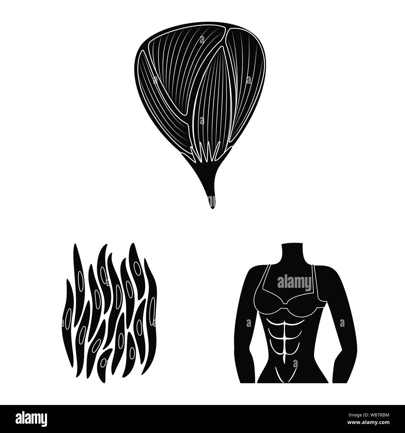 Isolated object of human and body symbol. Set of human and cells stock ...