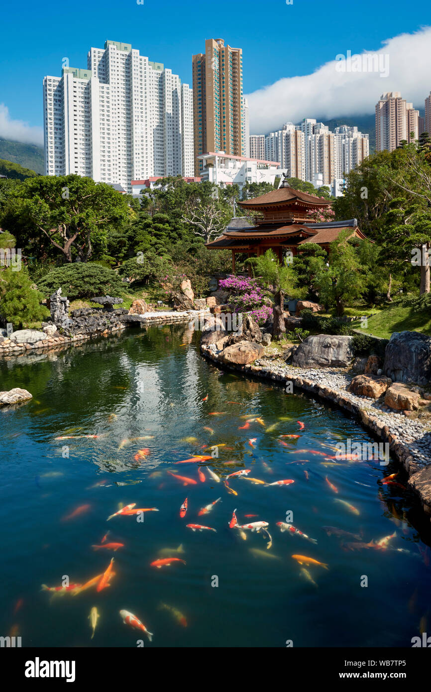 Hong kong park lake hi-res stock photography and images - Alamy