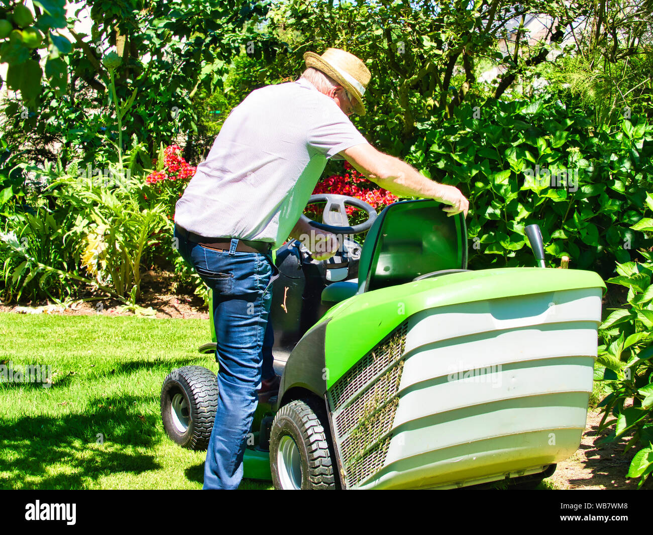 Senior man 75 old years driving a tractor lawn mower in garden with ...