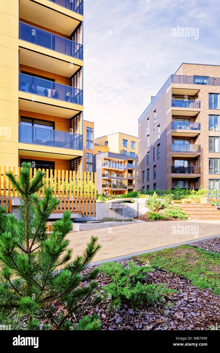 Pine tree at Modern architectural complex of apartment residential ...