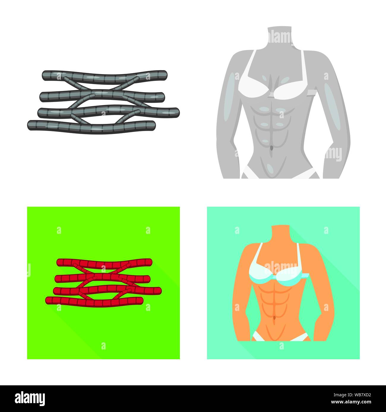 Vector design of fiber and muscular sign. Set of fiber and body vector ...