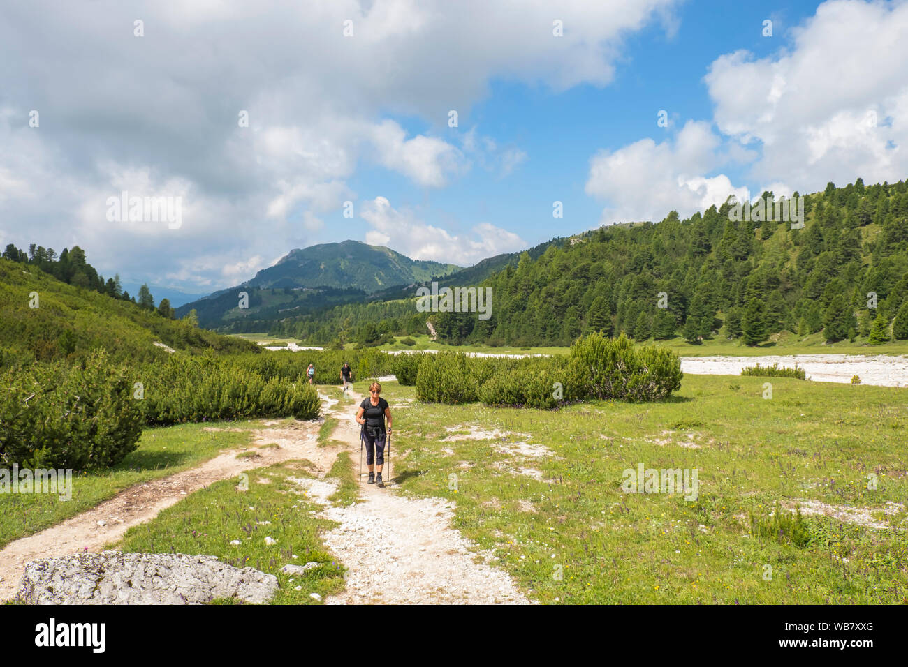Woman walking path in hi-res stock photography and images - Alamy