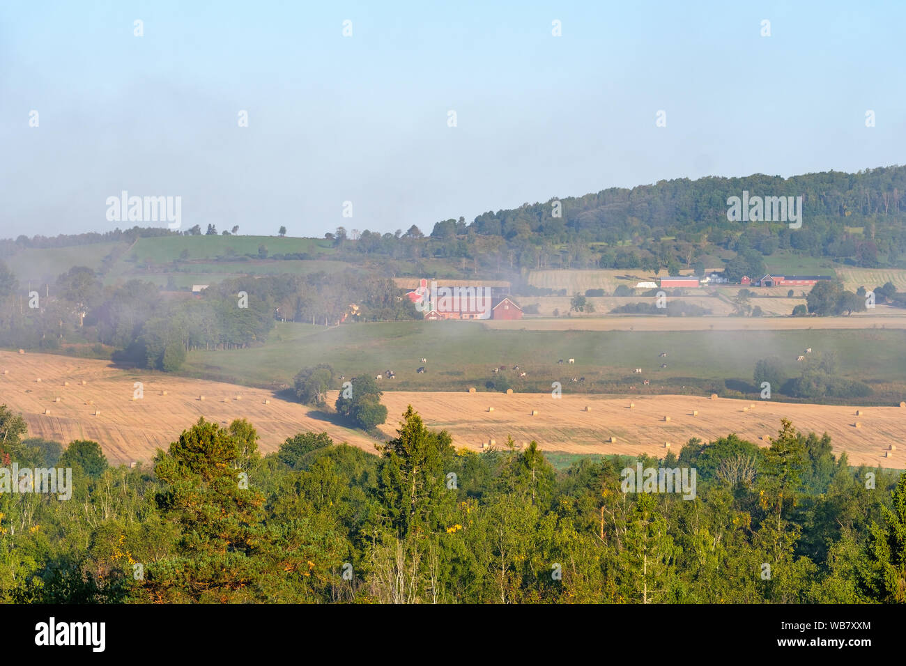 Farms and fields in a country landscape with morning mist Stock Photo ...