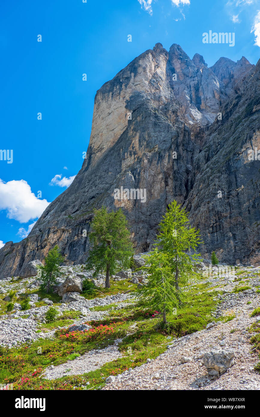 High mountain peak and larch tree and rugged terrain Stock Photo - Alamy