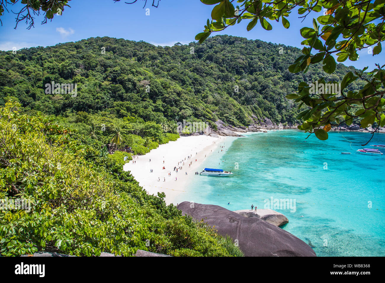 Similan island reef hi-res stock photography and images - Alamy