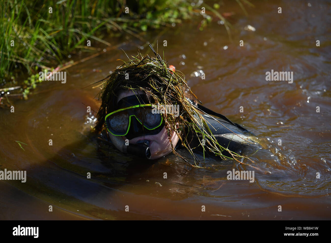 A competitor takes part in the World Bog Snorkelling Championships at ...