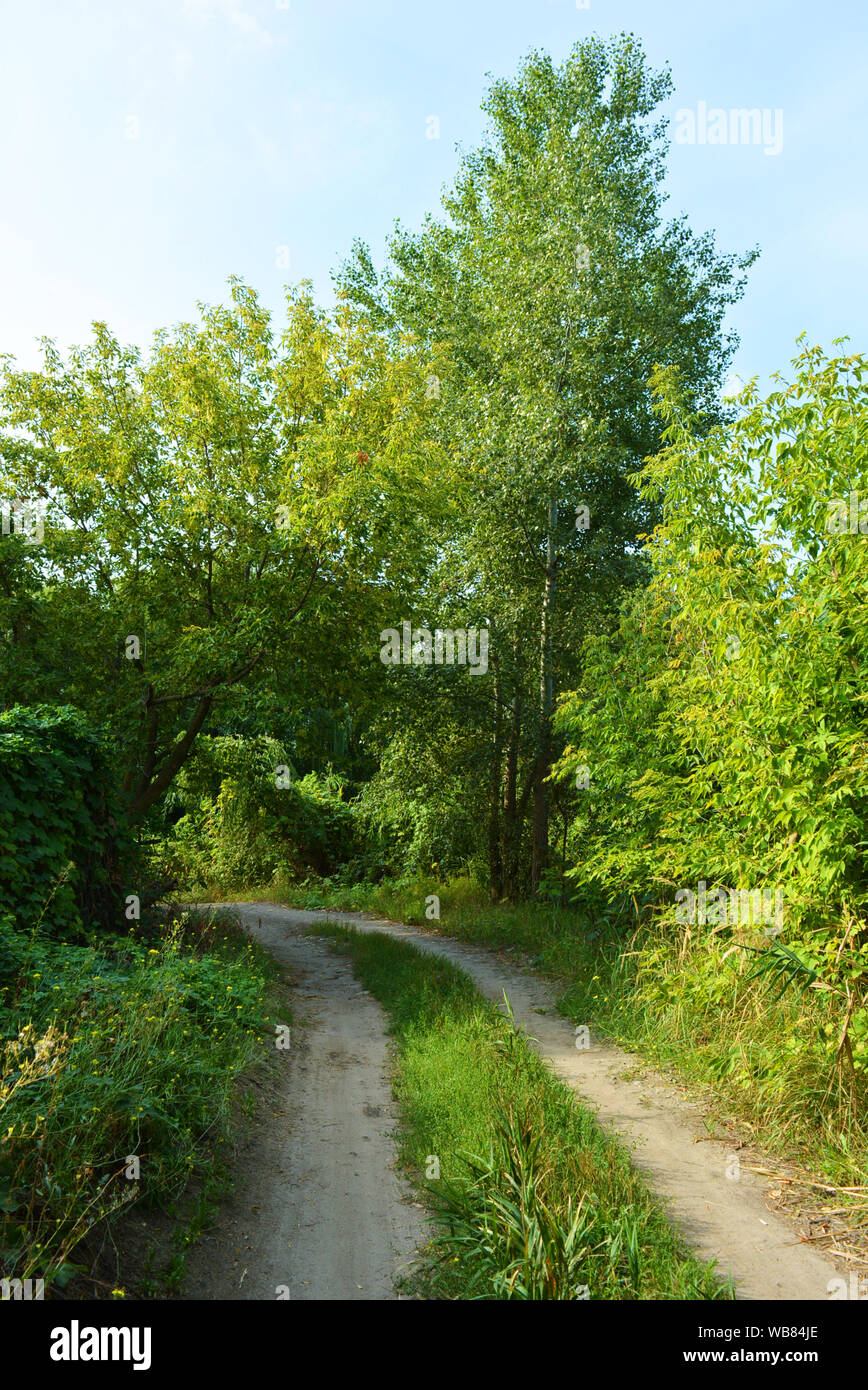 Natural with unusual landscape and forest beauty near Samara River ...