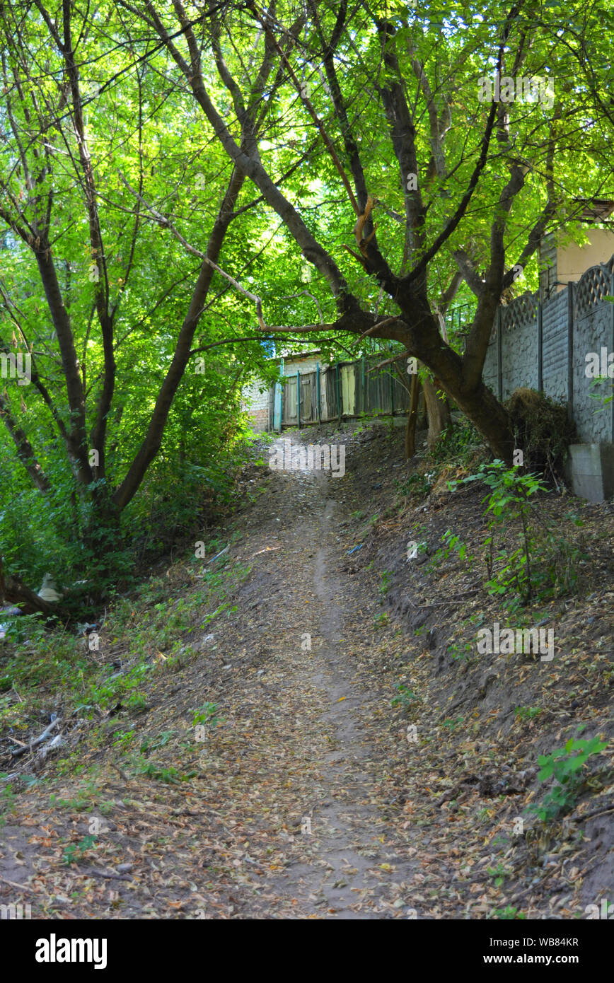 Beautiful natural background with an unusual landscape and forest ...