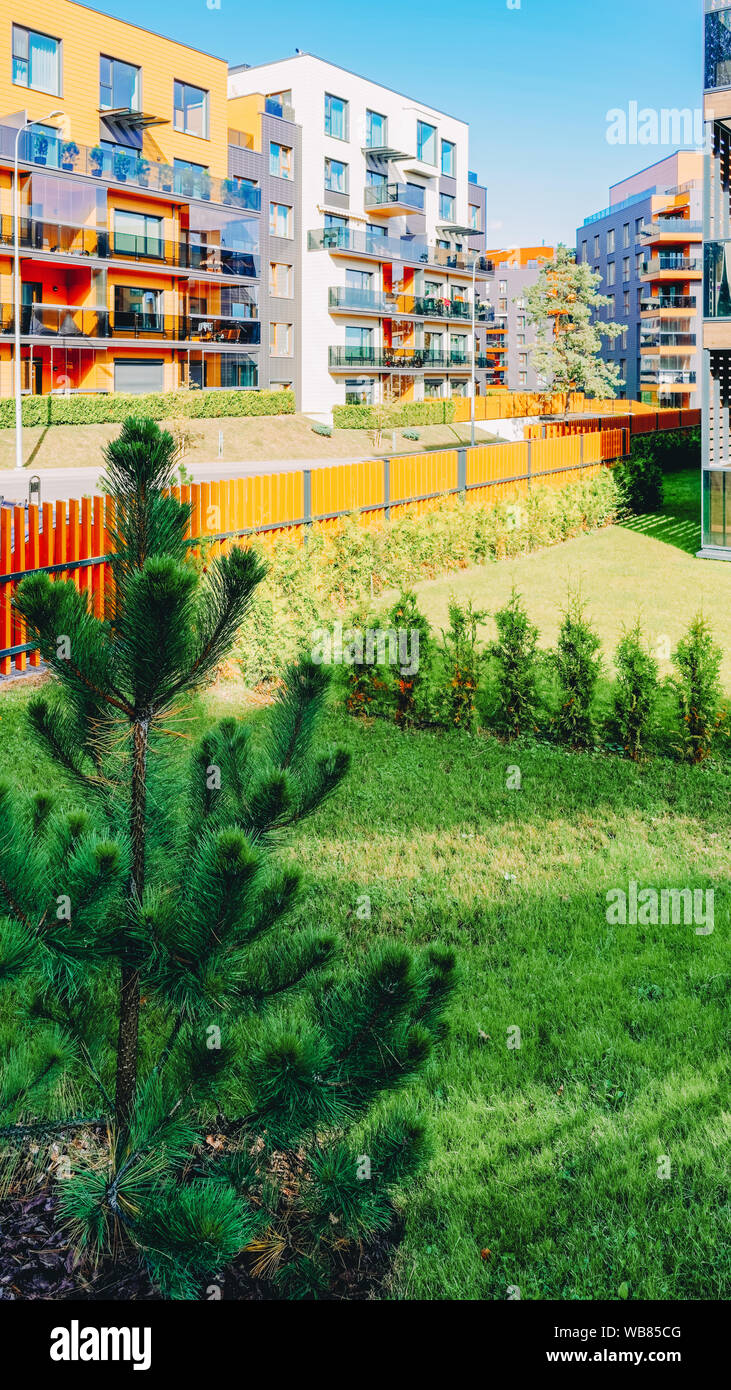 Pine tree at architectural apartment residential buildings. And outdoor ...