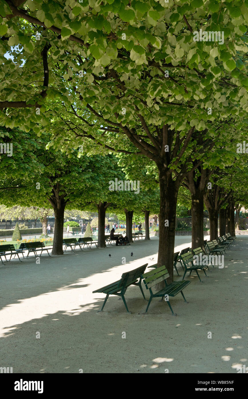 Trees and park seats of Square Jean XXIII behind Notre-Dame Cathedral ...