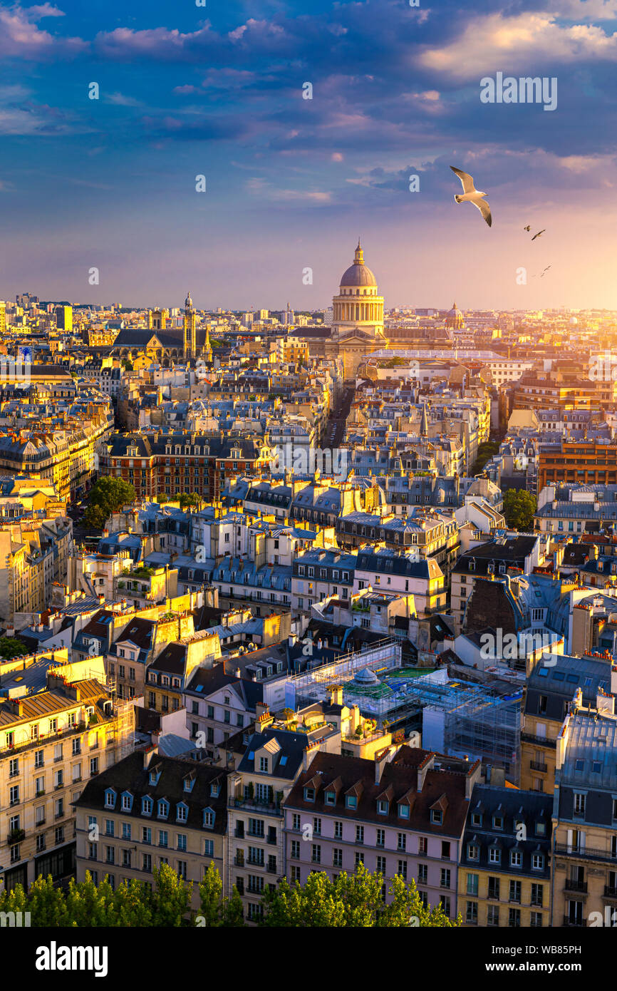 Paris, France, Seine river cityscape in summer colors with birds flying ...